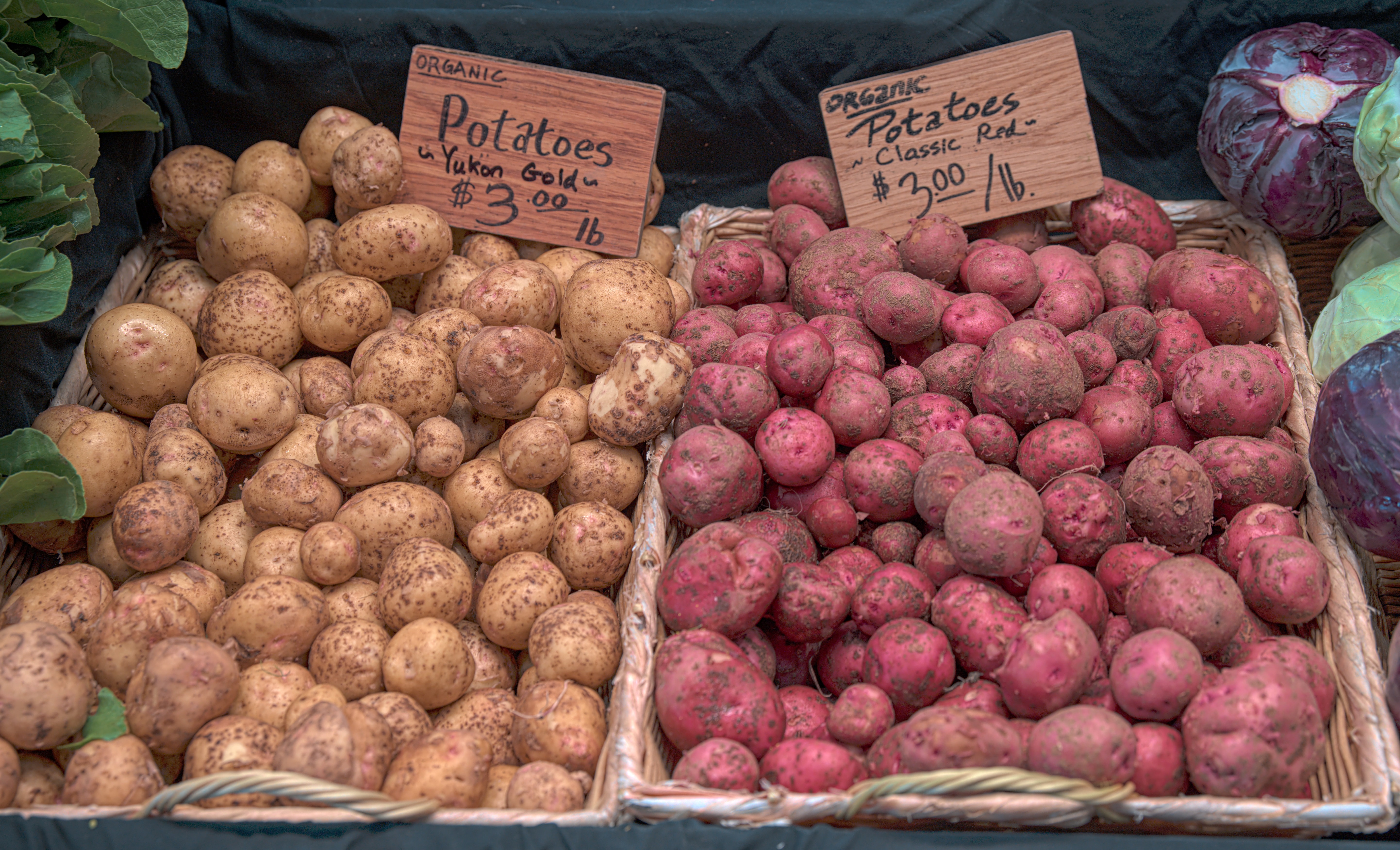 OVEN POTATOES – Betsy’s Baking Blog